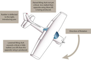Accelerated Stalls - Aviation Safety